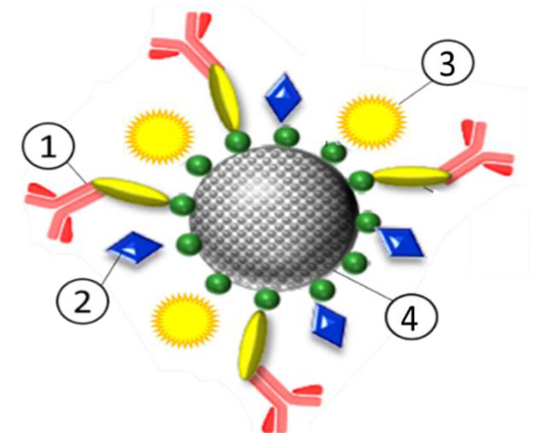 Theranostic nanoparticle for oncology – Viromii